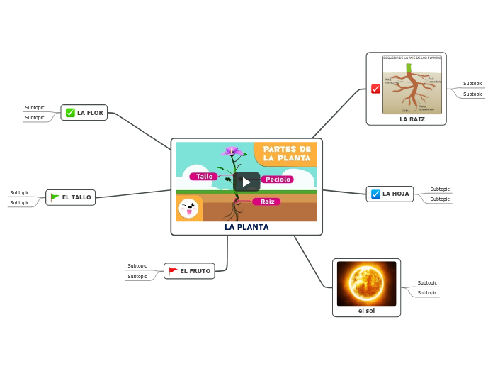 LA PLANTA - Mind Map